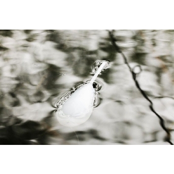 Vismania - Surface Float